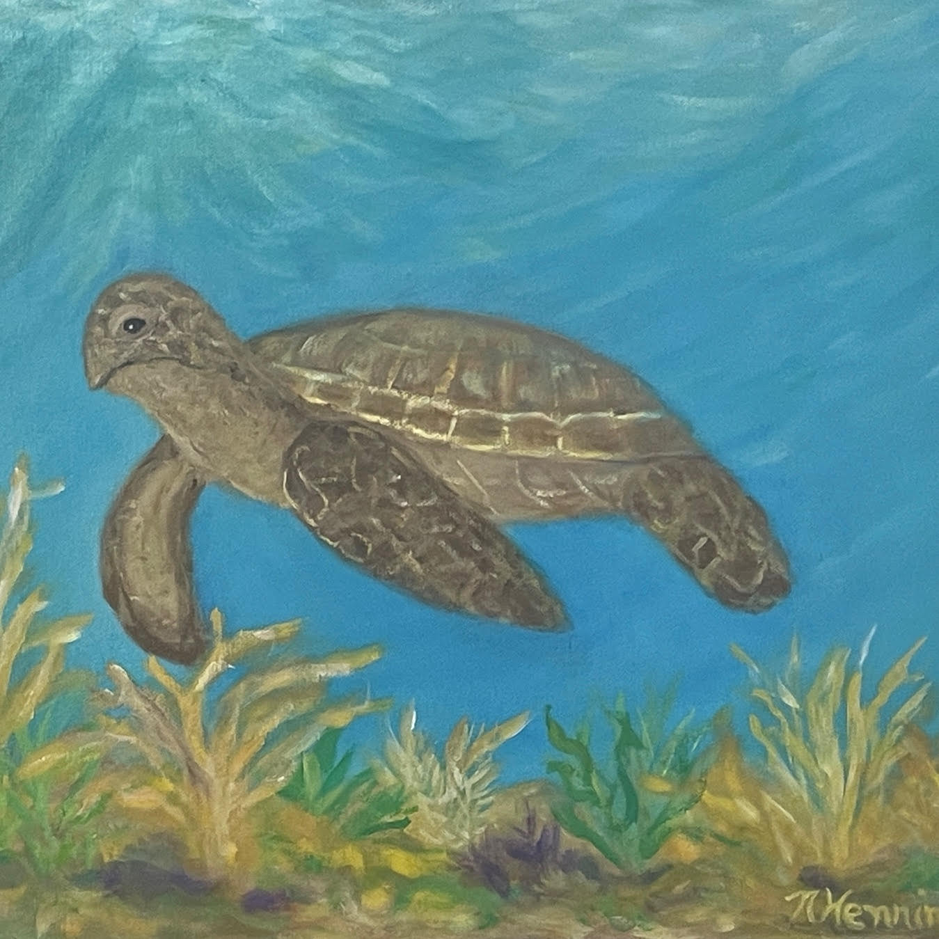 Reef Cruiser by Nancy Henning | Key West Art Center, Inc. 301Front ...